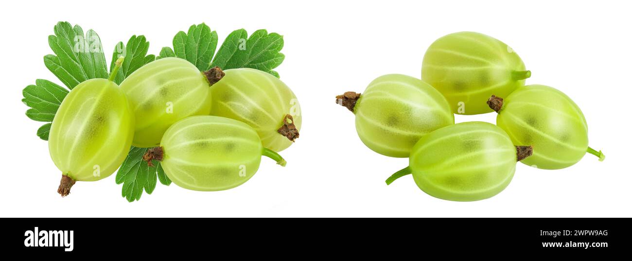 Green gooseberry isolated on white background with full depth of field ...
