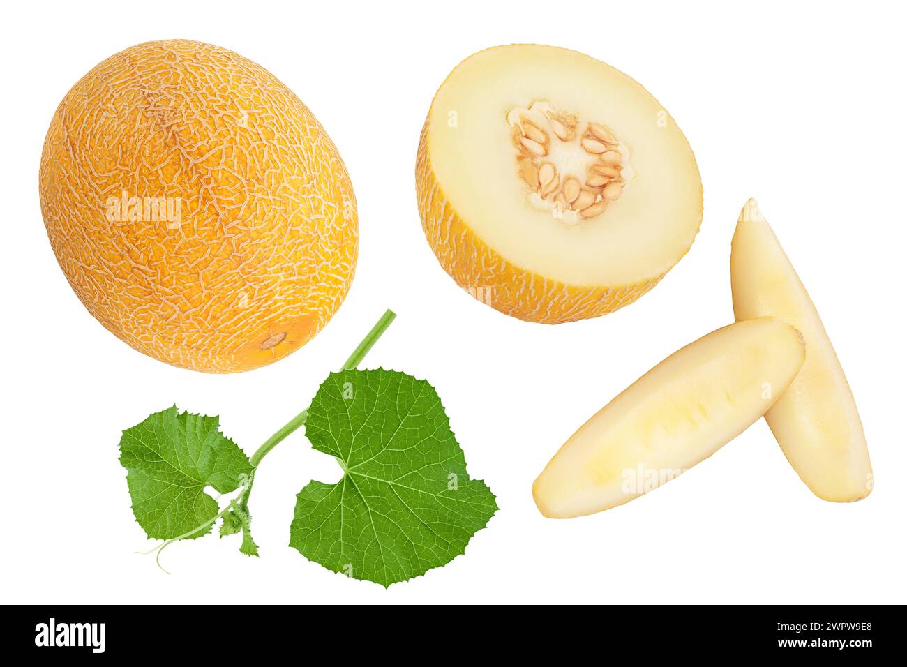 Melon isolated on white background with full depth of field. Top view ...