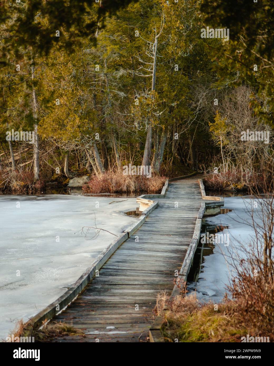 Boardwalk and an icy pond at Indian Carry Fishing Access Site, in the Adirondack Mountains near ...