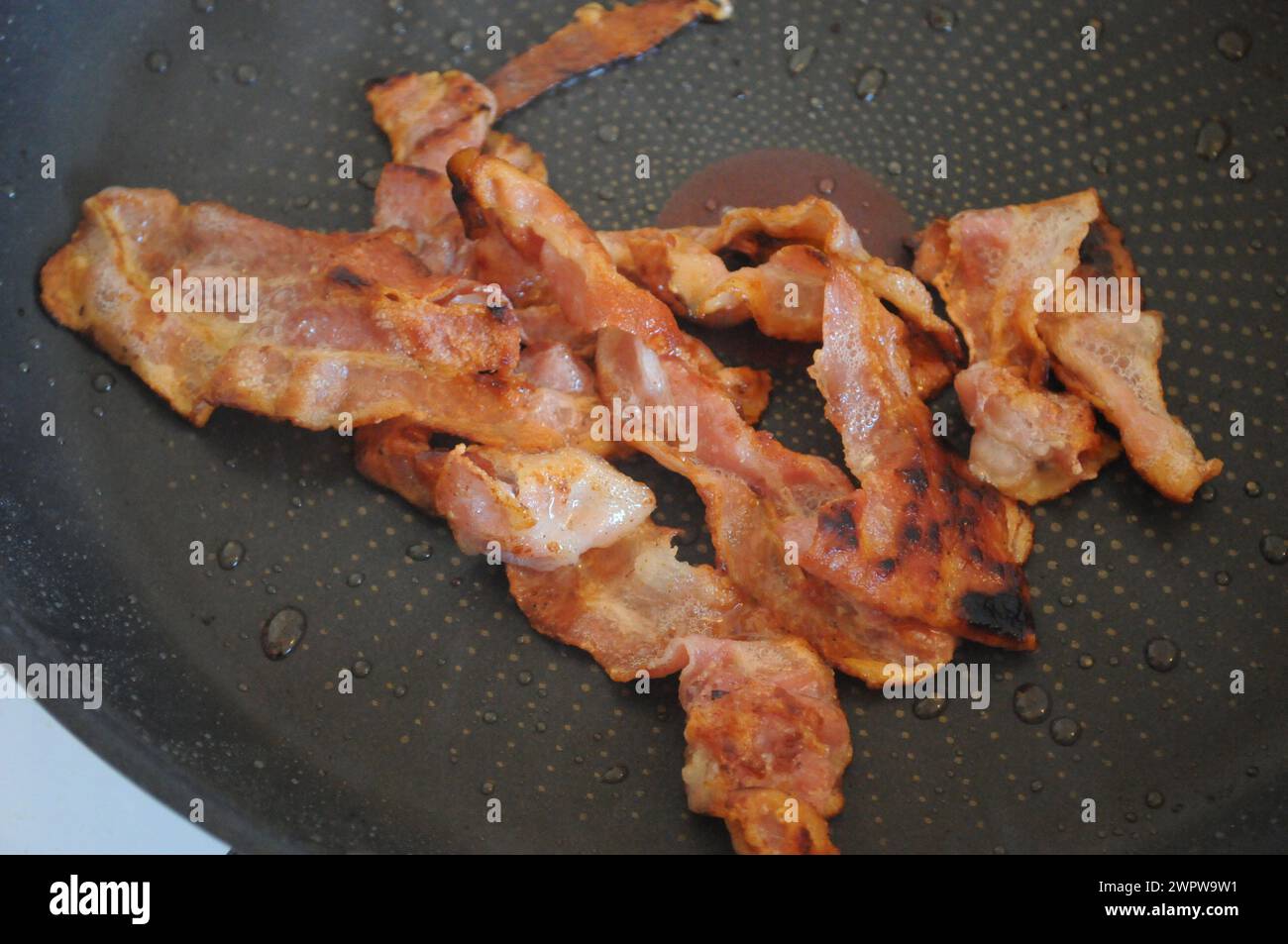 Steff houlberg bacon hi-res stock photography and images - Alamy