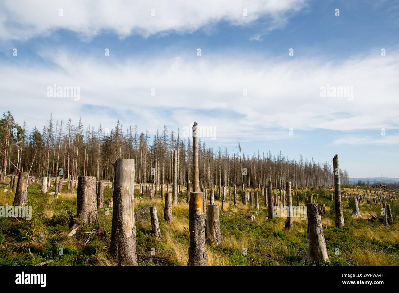 Environmental resin hi-res stock photography and images - Alamy