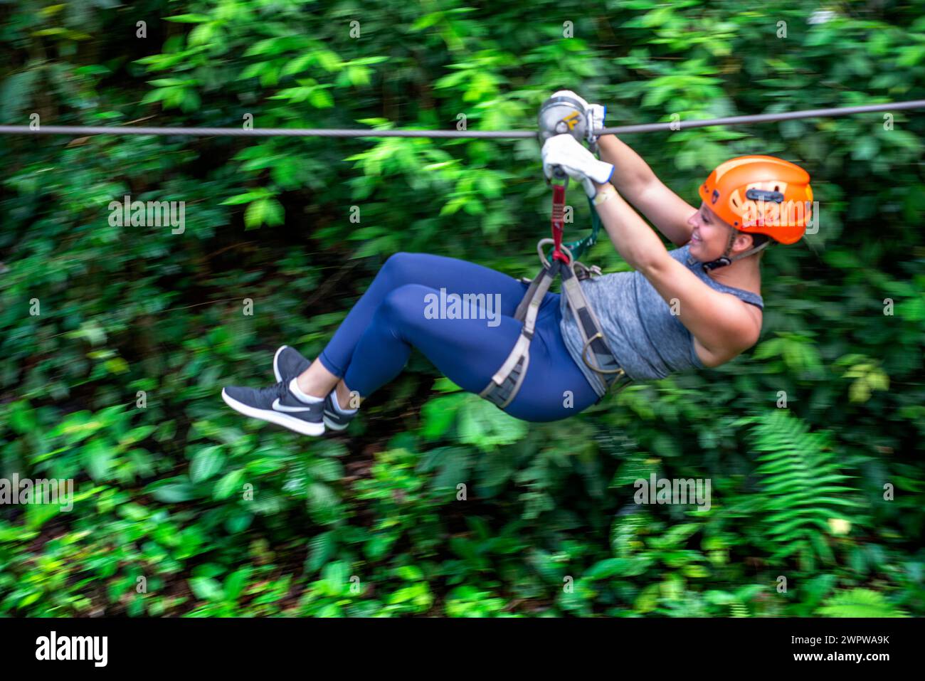 canopy in the forest in El Castillo, Tourist Rides The Canopy Zip Line ...
