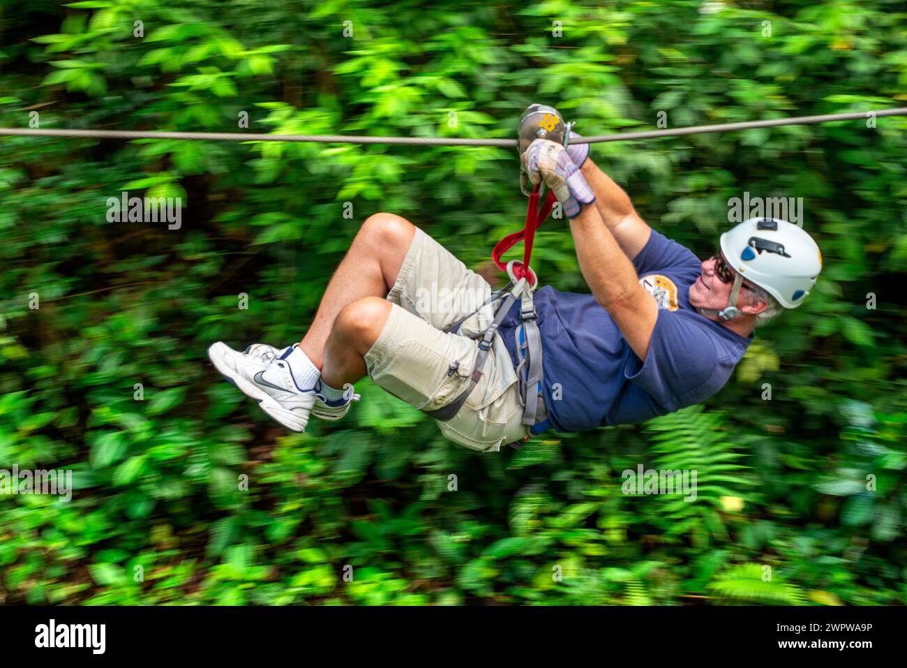 canopy in the forest in El Castillo, Tourist Rides The Canopy Zip Line ...