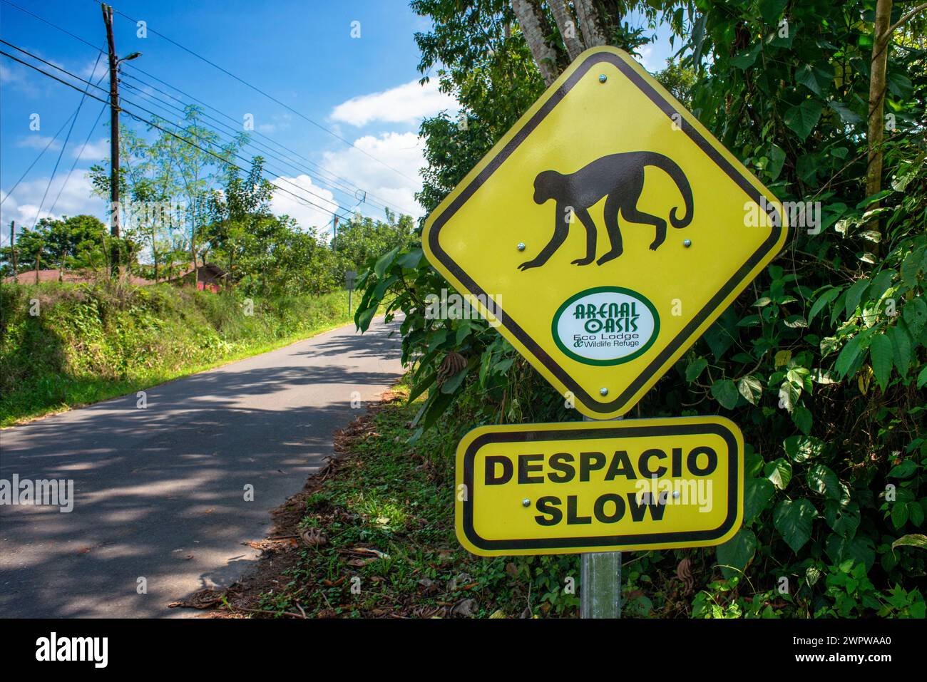 Monkey traffic sign near Arenal volcano and La Fortuna, Costa Rica ...