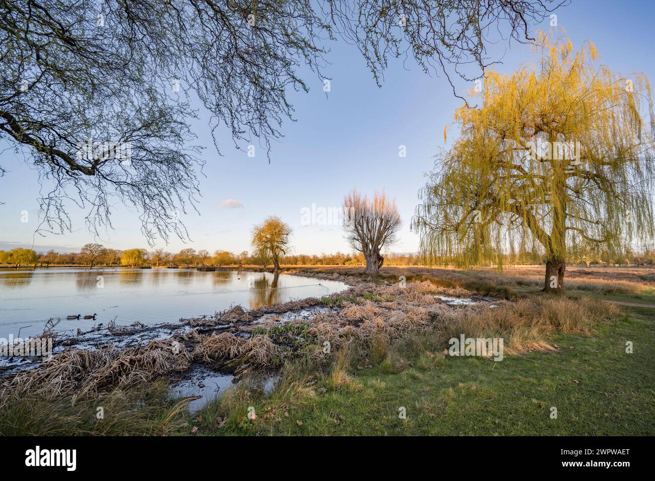 Mid morning sun hi-res stock photography and images - Alamy
