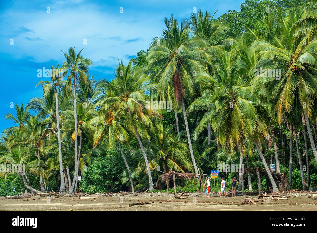 Sunset at paradise beach in Uvita Marino Ballena National Park, Uvita ...