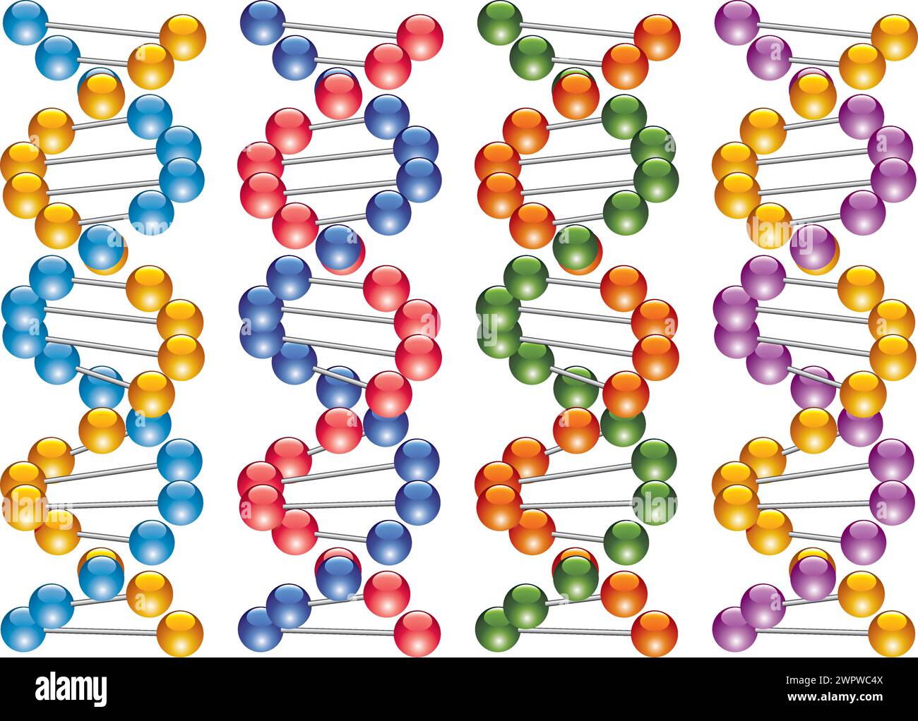 vector set of colorful dna strands Stock Vector Image & Art - Alamy