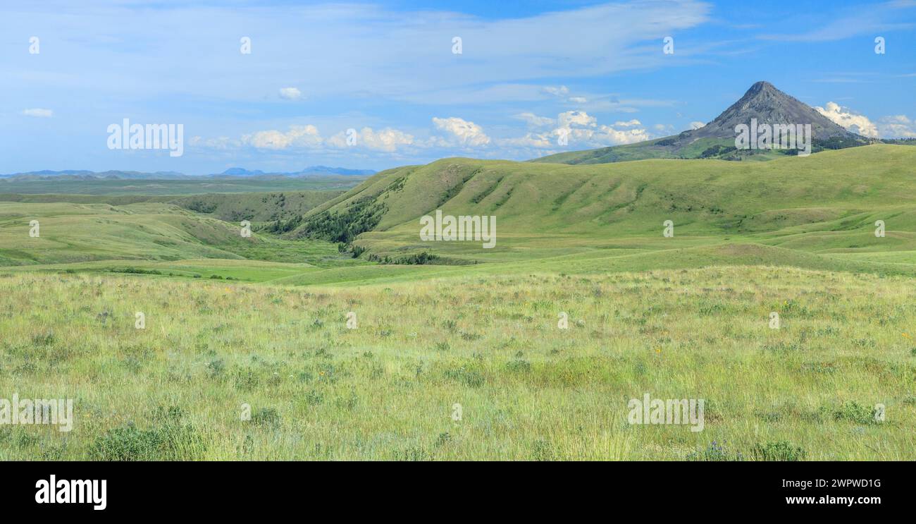 Mt d5866 hi-res stock photography and images - Alamy