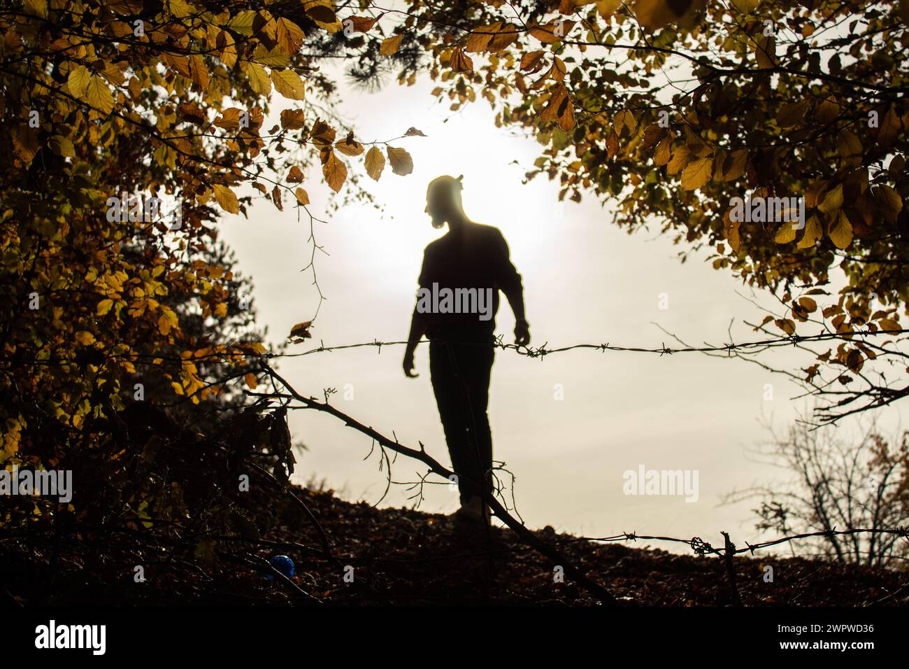 Sweater trees hi-res stock photography and images - Alamy