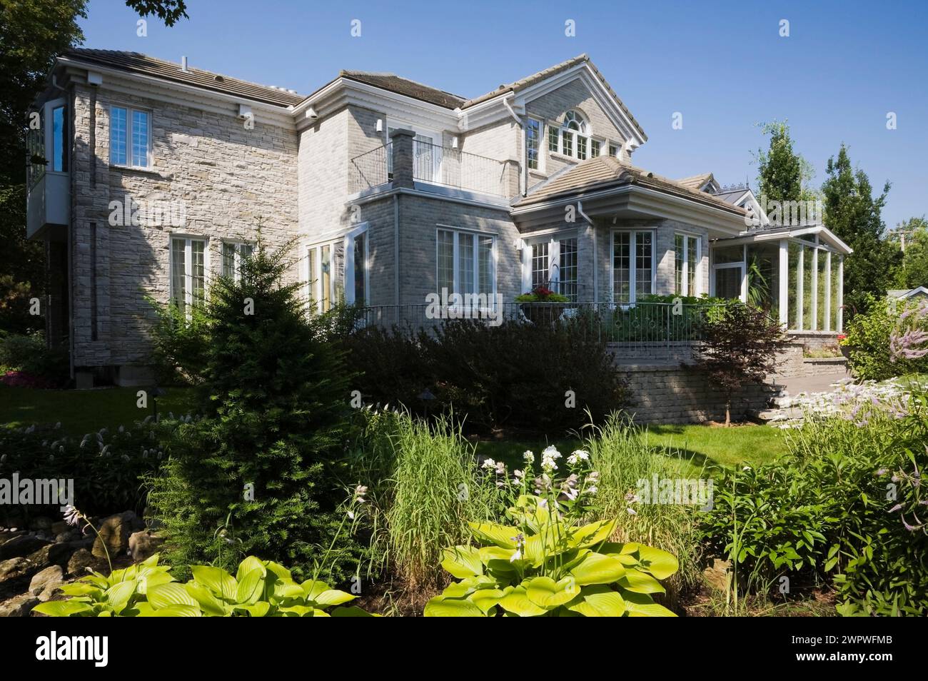 Border with Hosta and Miscanthus - Ornamental Grass plants in ...