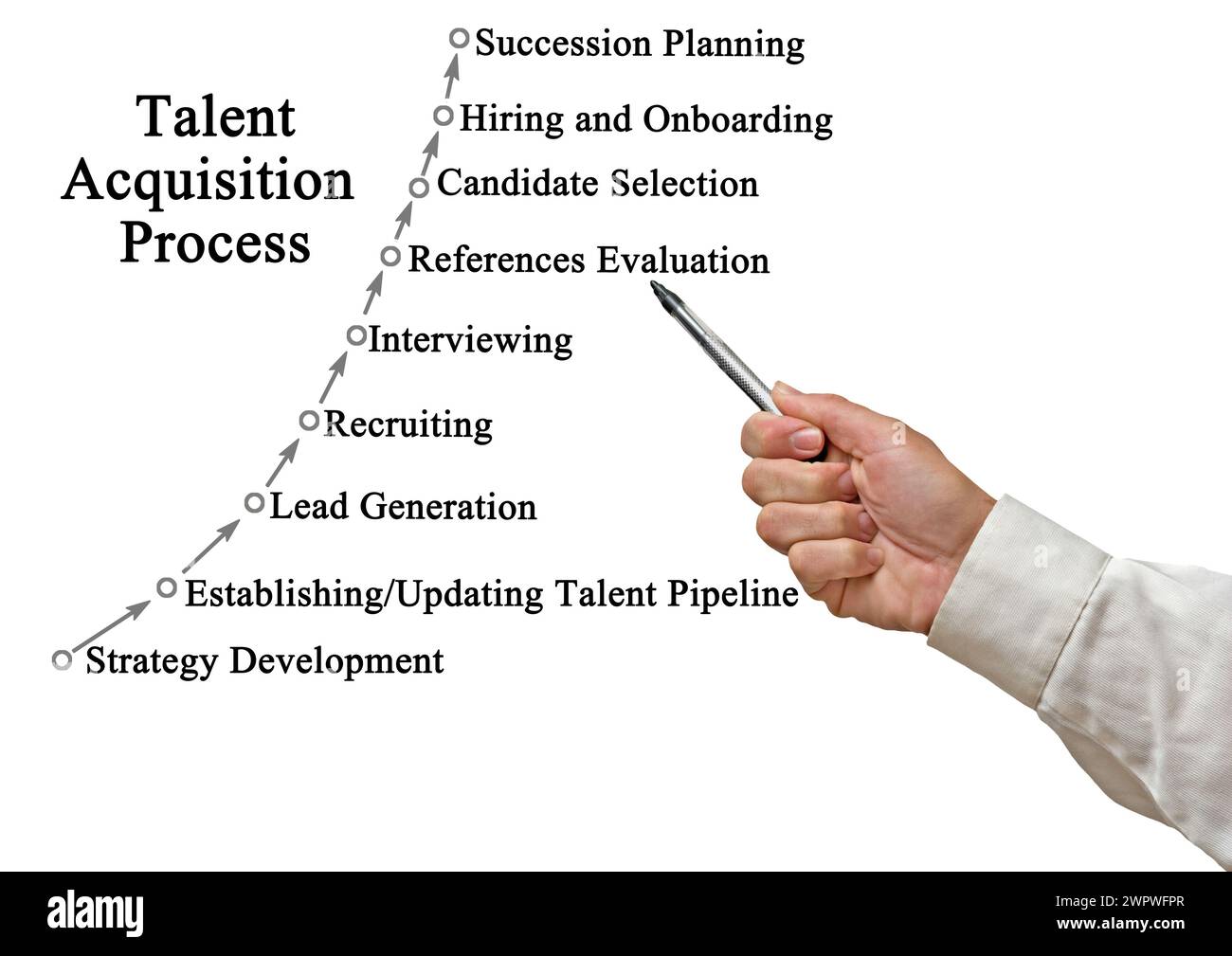 Components of Talent Acquisition Process Stock Photo - Alamy