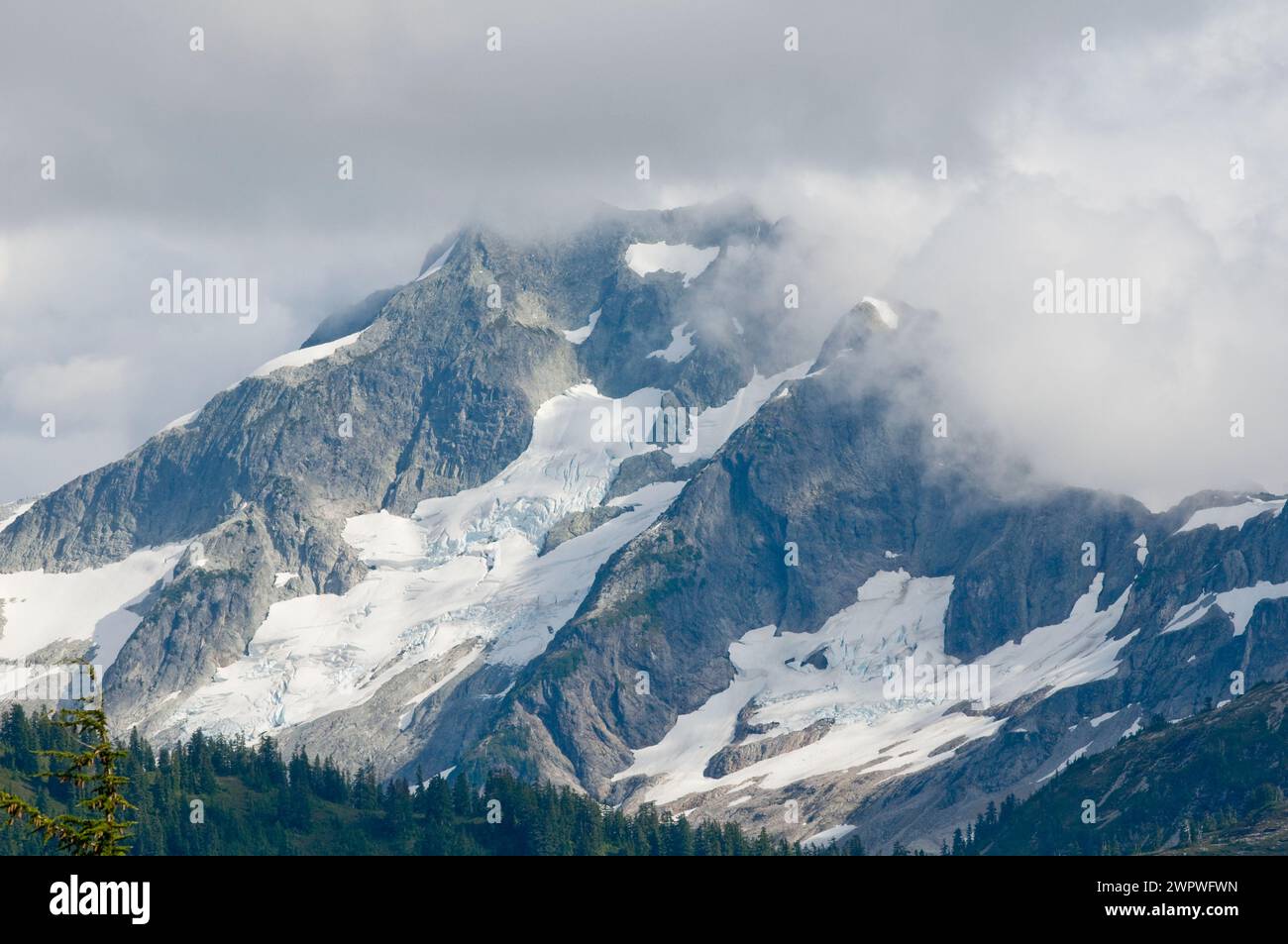 along the Copper Ridge Trail in North Cascades National Park Washington ...