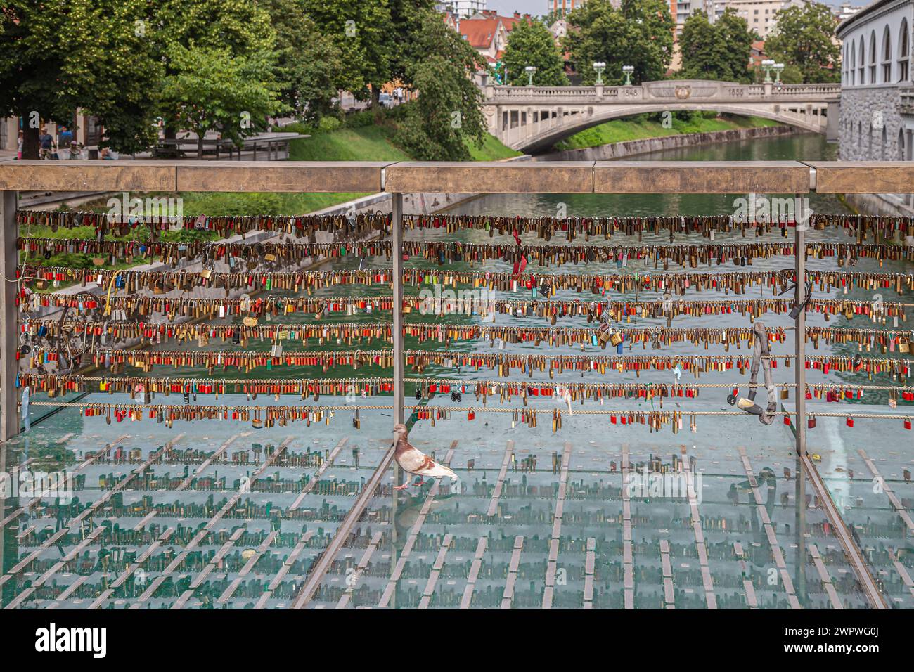 LJUBLJANA, SLOVENIA - JUNE 5, 2022: The Butchers' Bridge (Slovene ...