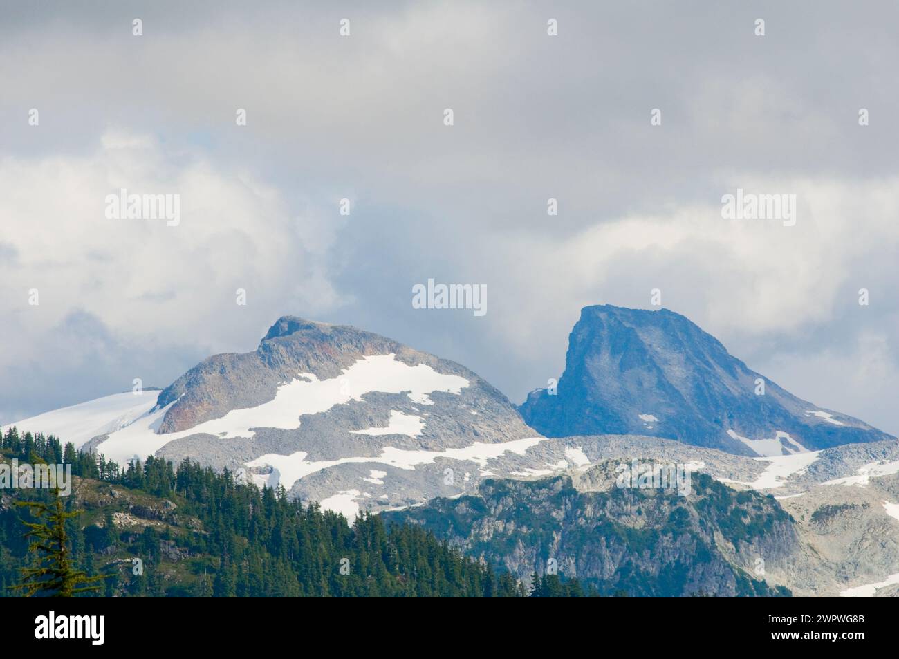 along the Copper Ridge Trail in North Cascades National Park Washington ...