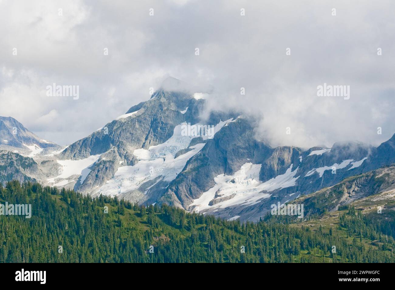 along the Copper Ridge Trail in North Cascades National Park Washington ...