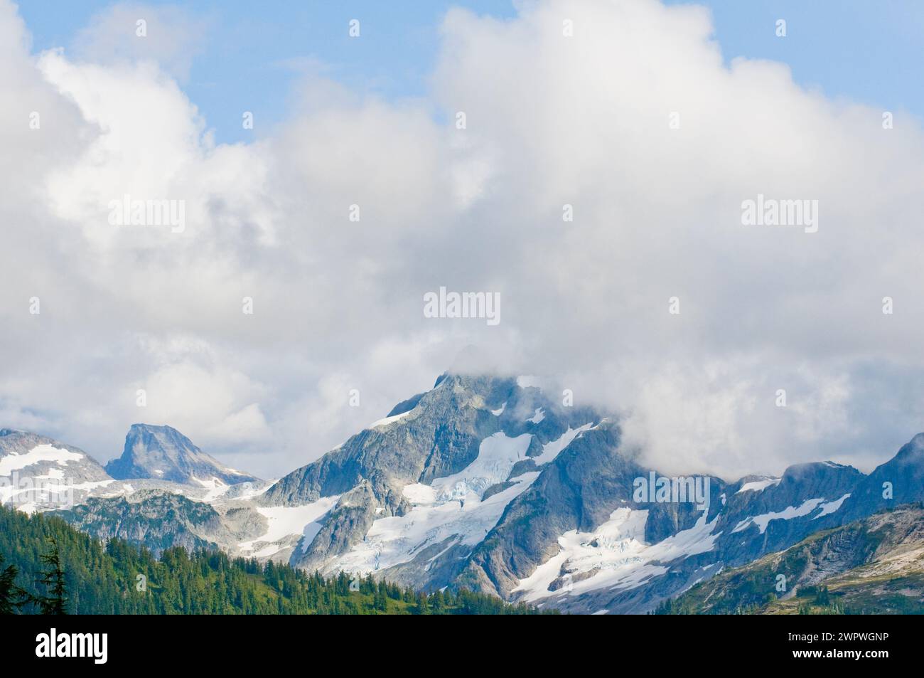 along the Copper Ridge Trail in North Cascades National Park Washington ...