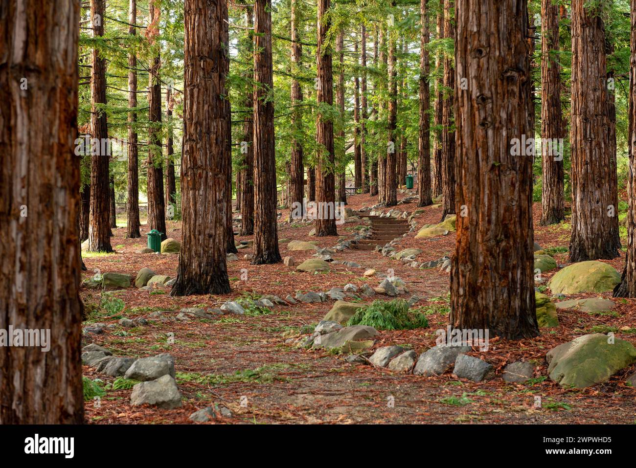 Jack hume grove hi-res stock photography and images - Alamy