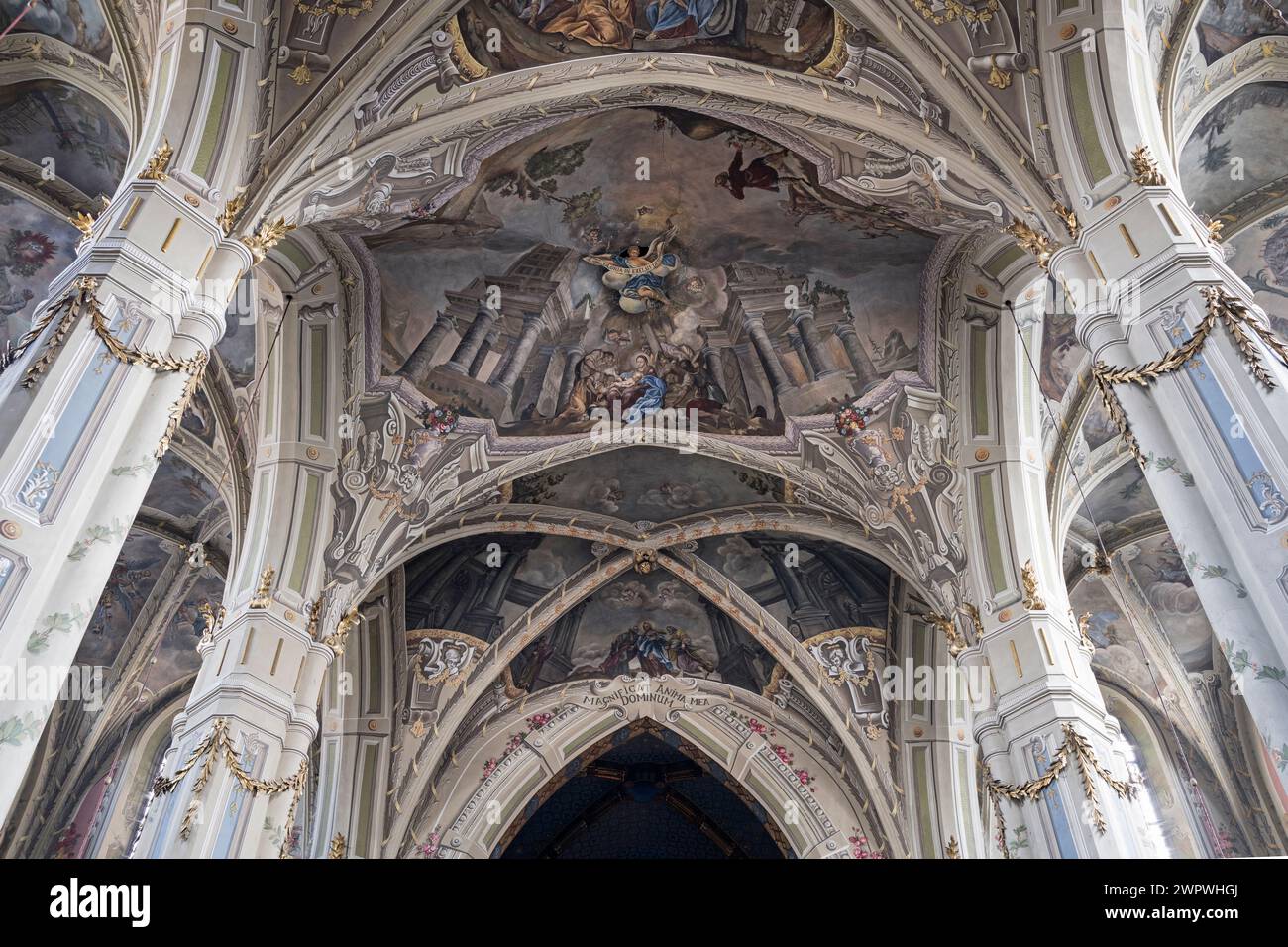 Vault, Latin Cathedral, Cathedral Basilica of the Assumption, Lviv ...