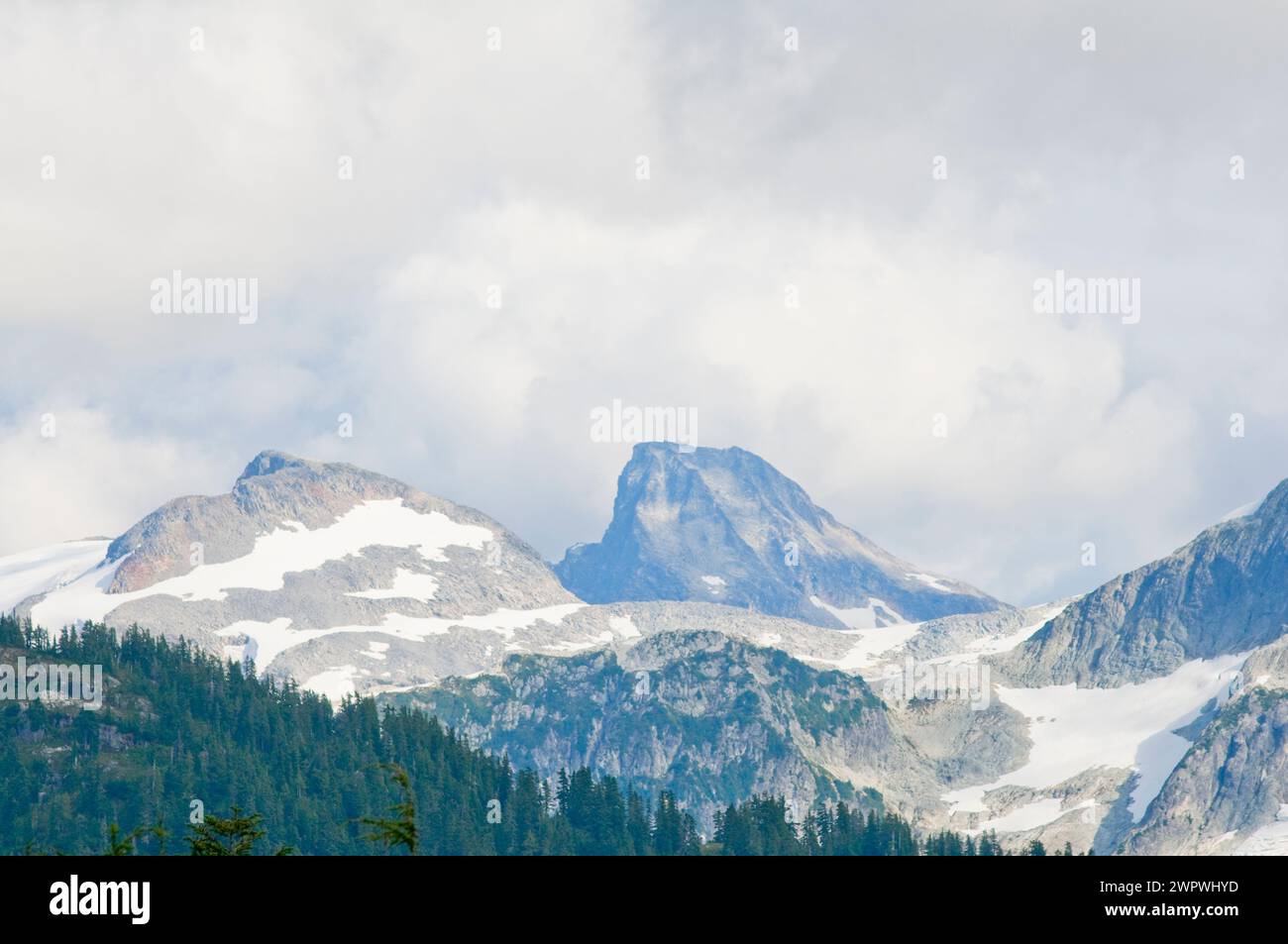 along the Copper Ridge Trail in North Cascades National Park Washington ...