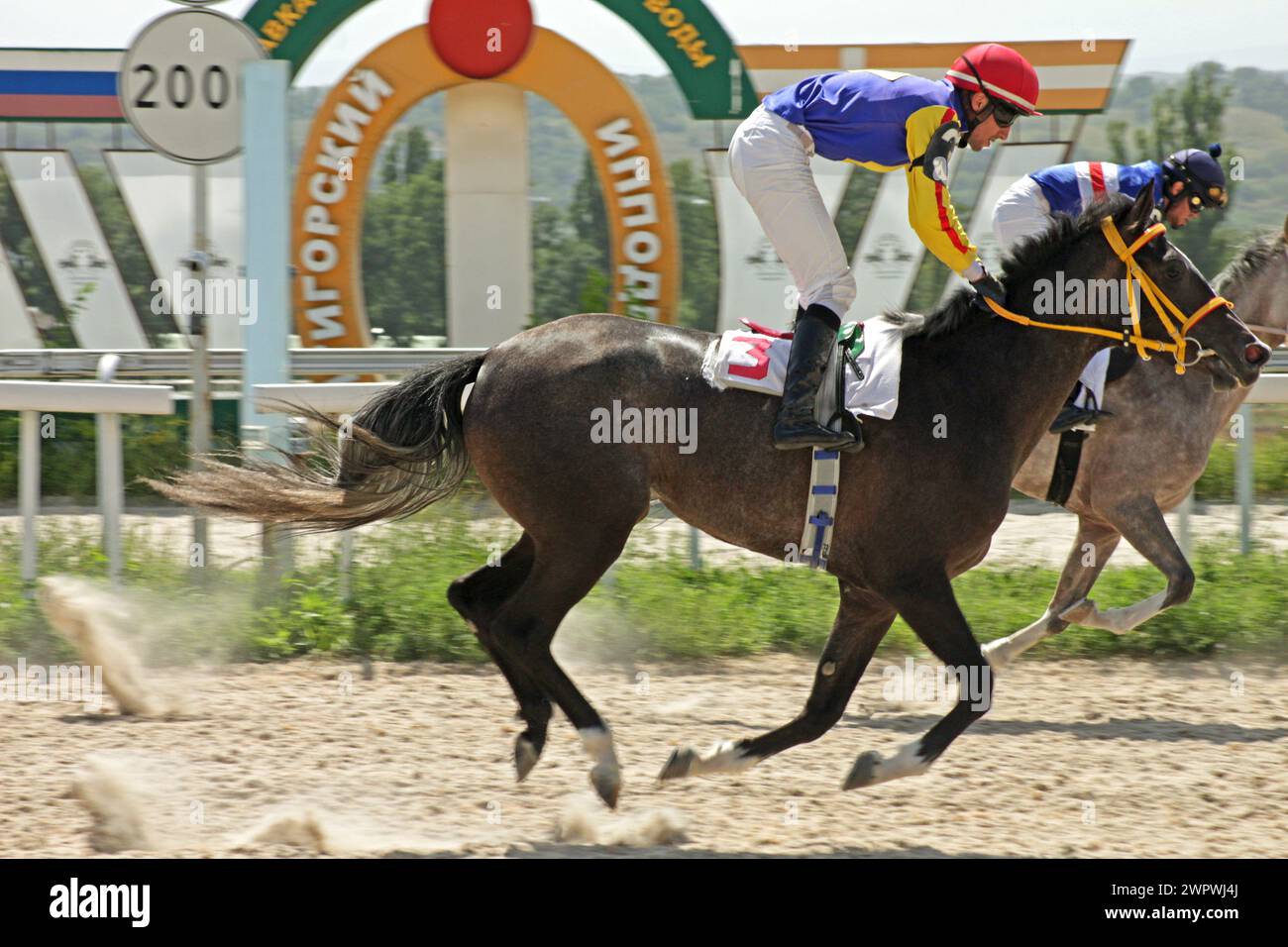 The horse race for the Summer prize at the Pyatigorsk hippodrome Stock ...