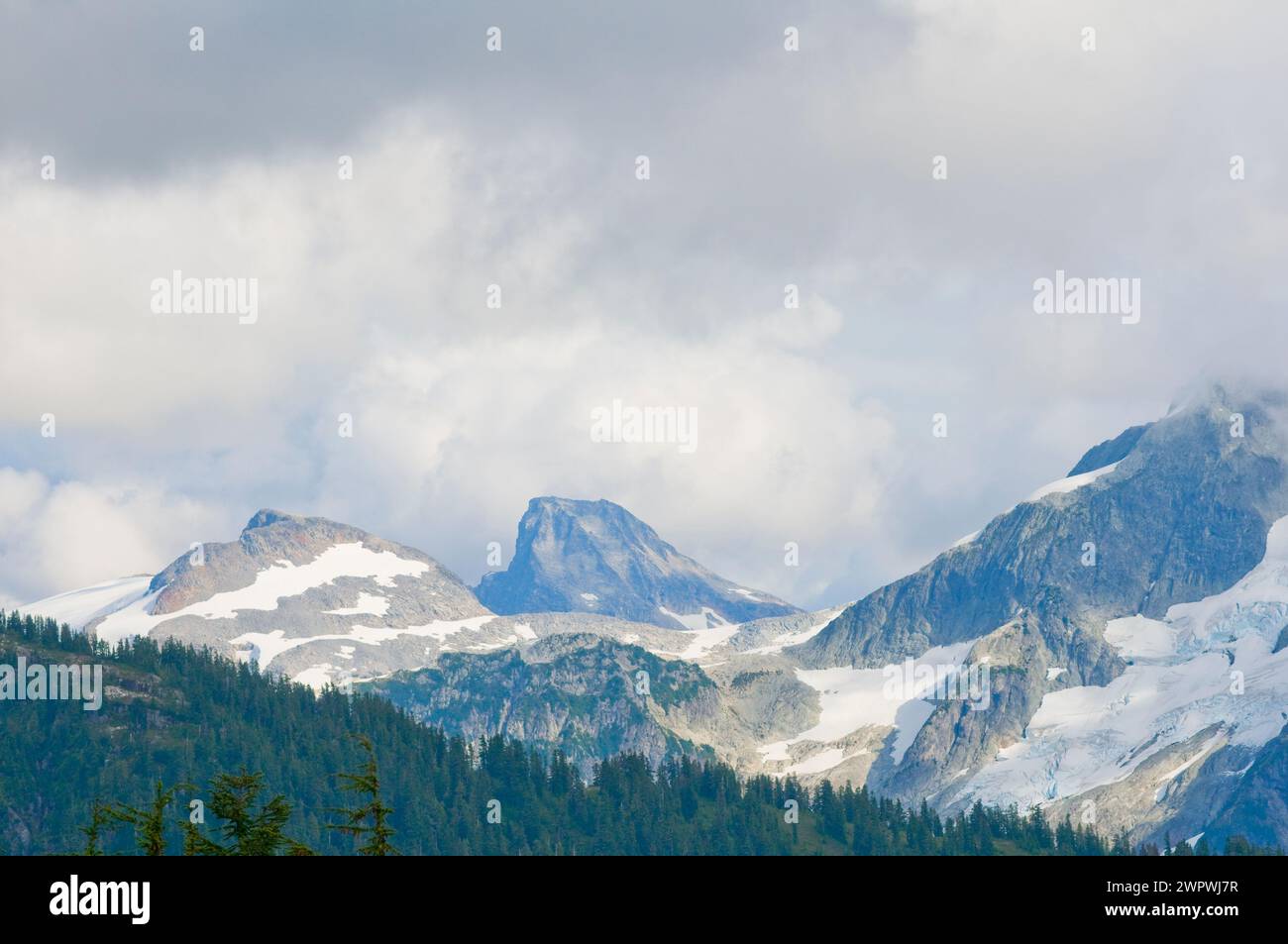 along the Copper Ridge Trail in North Cascades National Park Washington ...