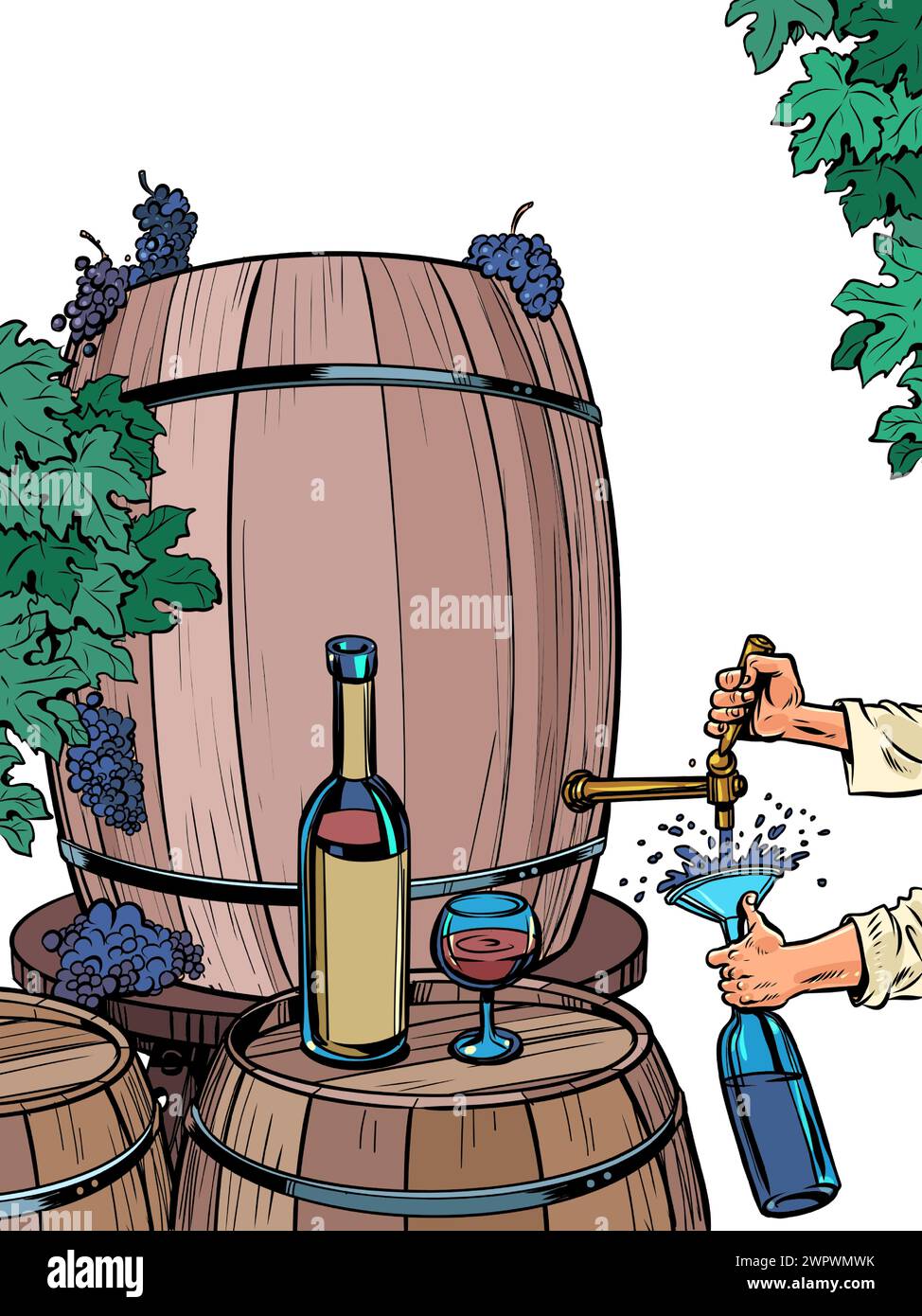 The process of making wine and drinking it. A man pours a bottle of ...