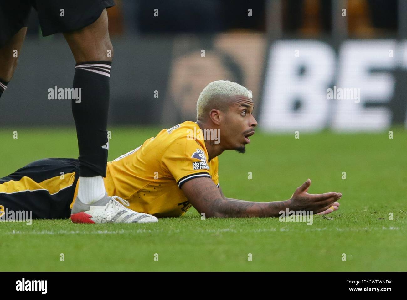 Mario lemina of wolves hi-res stock photography and images - Alamy