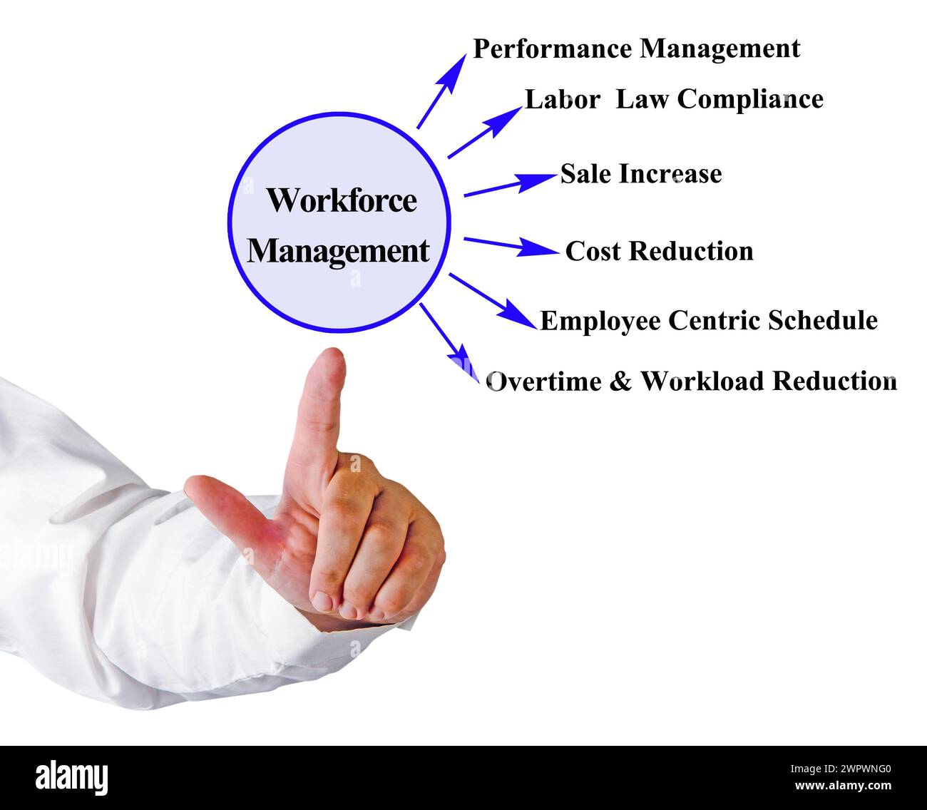 Employee functions Cut Out Stock Images & Pictures - Alamy