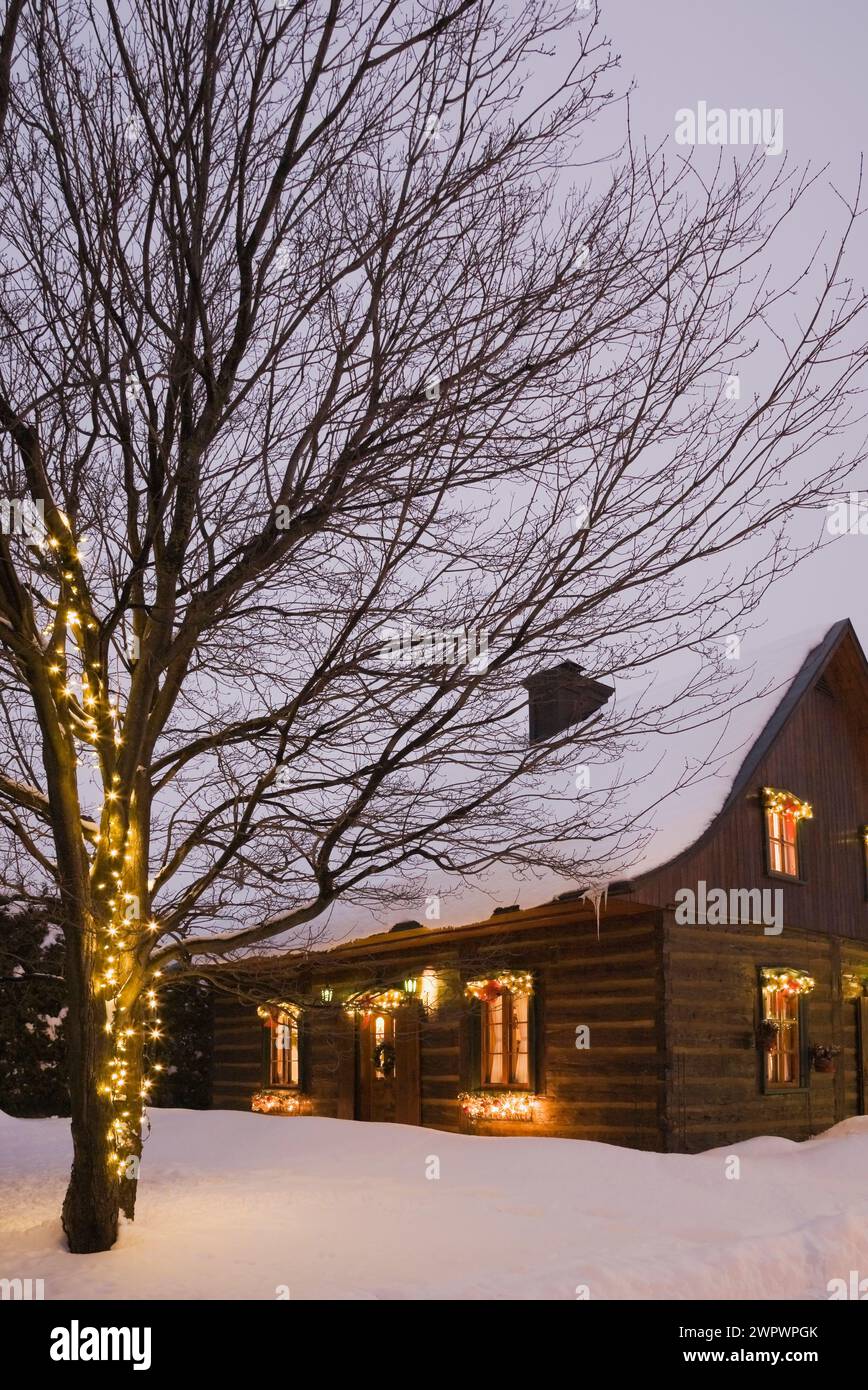 Reconstructed 1840s log cabin home with Christmas decorations ...