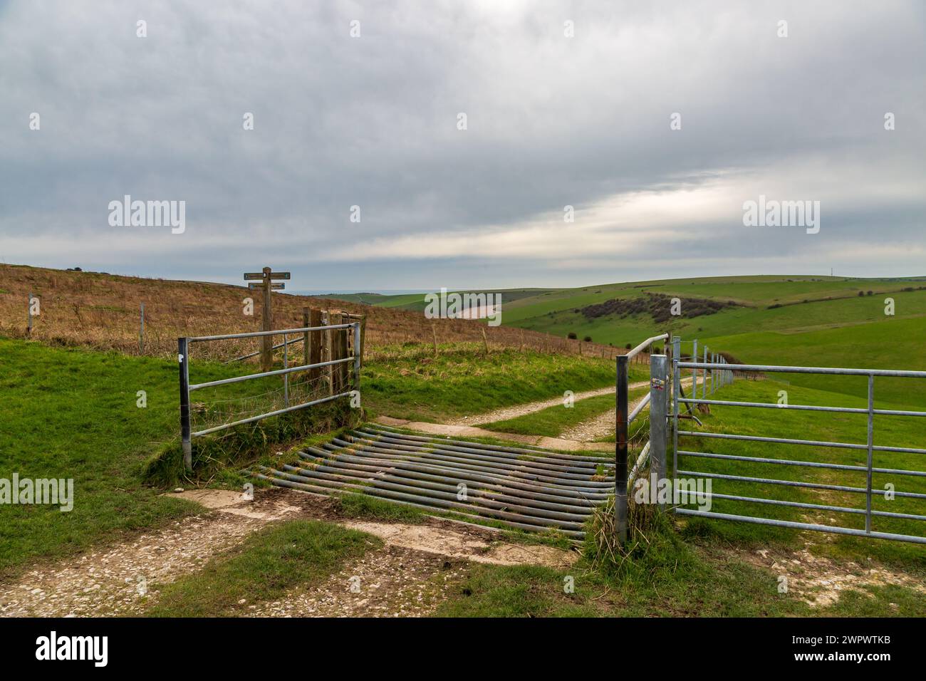 A view in the Sussex countryside with a cattle grid at the top of a ...