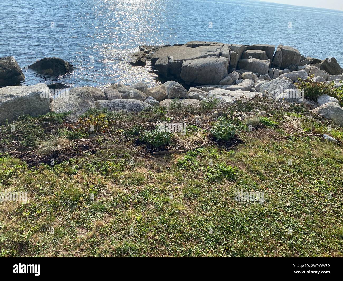 Grassy lake shore with rocks and rocky wall Stock Photo - Alamy