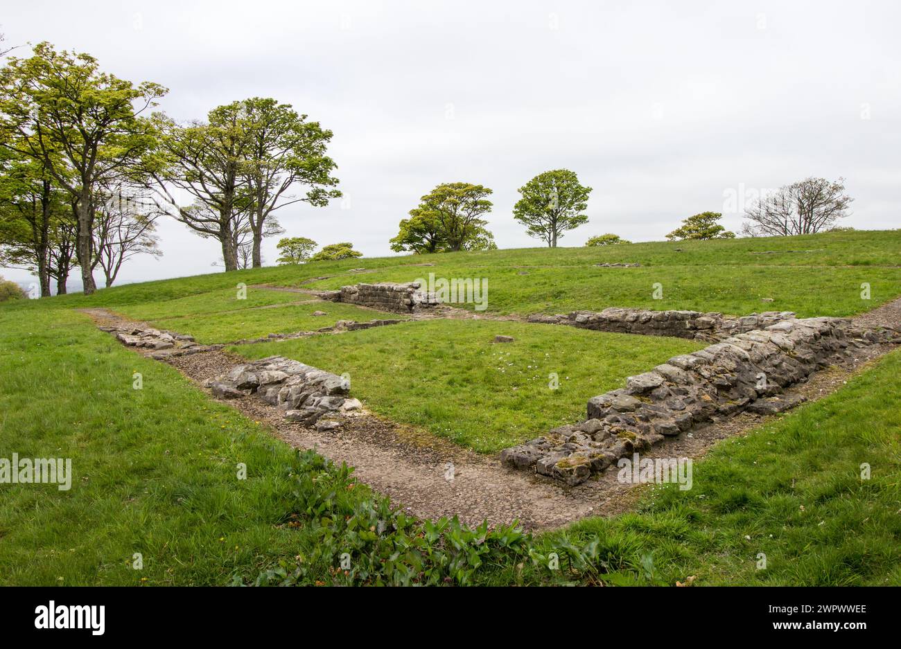 Ruins of the headquarters, known as the Principia, in an ancient Roman ...