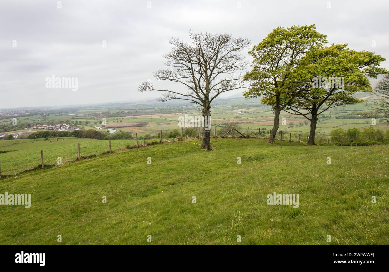 Countryside trees picturesque hi-res stock photography and images - Alamy