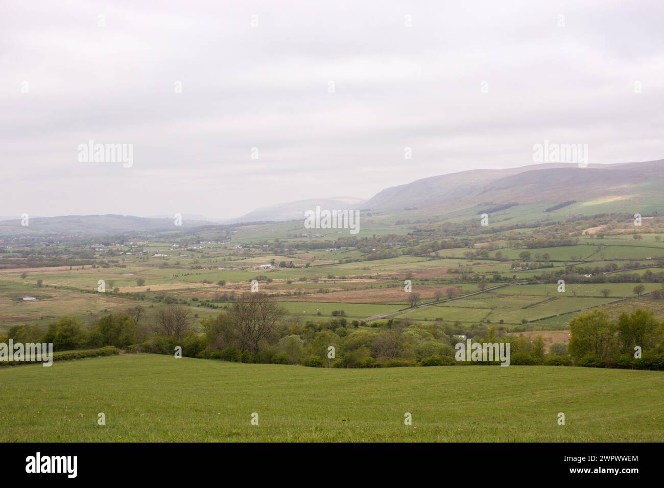 Trees in a small park at Bar Hill, with the Scottish countryside in the ...