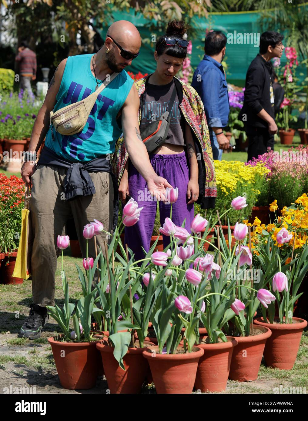 Ndmc flower festival hi-res stock photography and images - Alamy