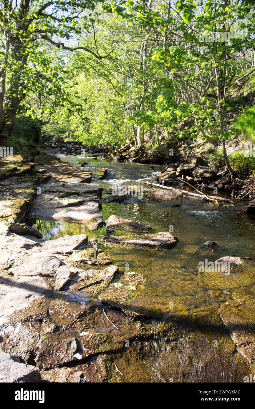 Burn in the new hi-res stock photography and images - Alamy