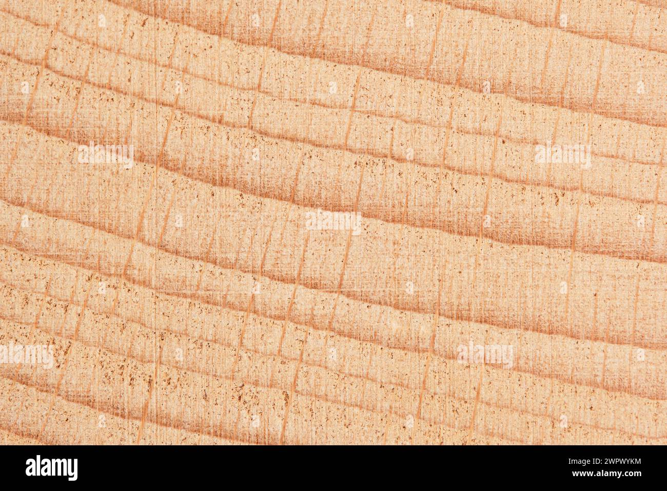 Textured Beech Wood Grain Background. Detailed grain patterns add ...