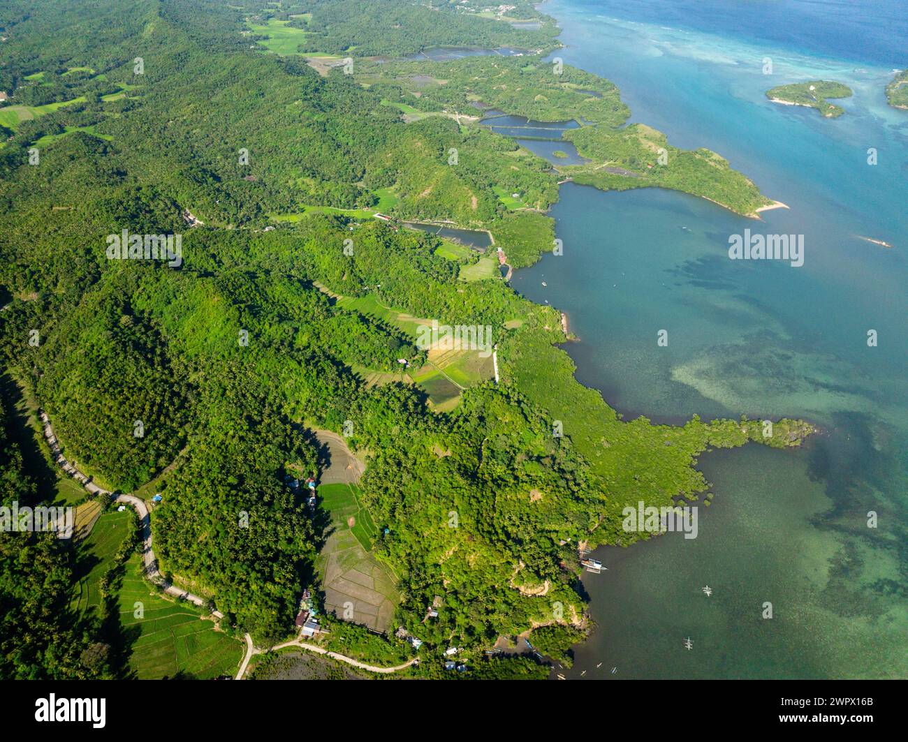Green forest and turquoise sea water in tropical island. Santa Fe ...