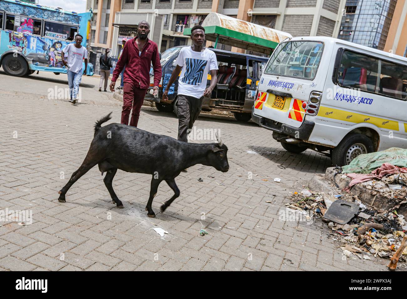 Typical form only hi-res stock photography and images - Alamy