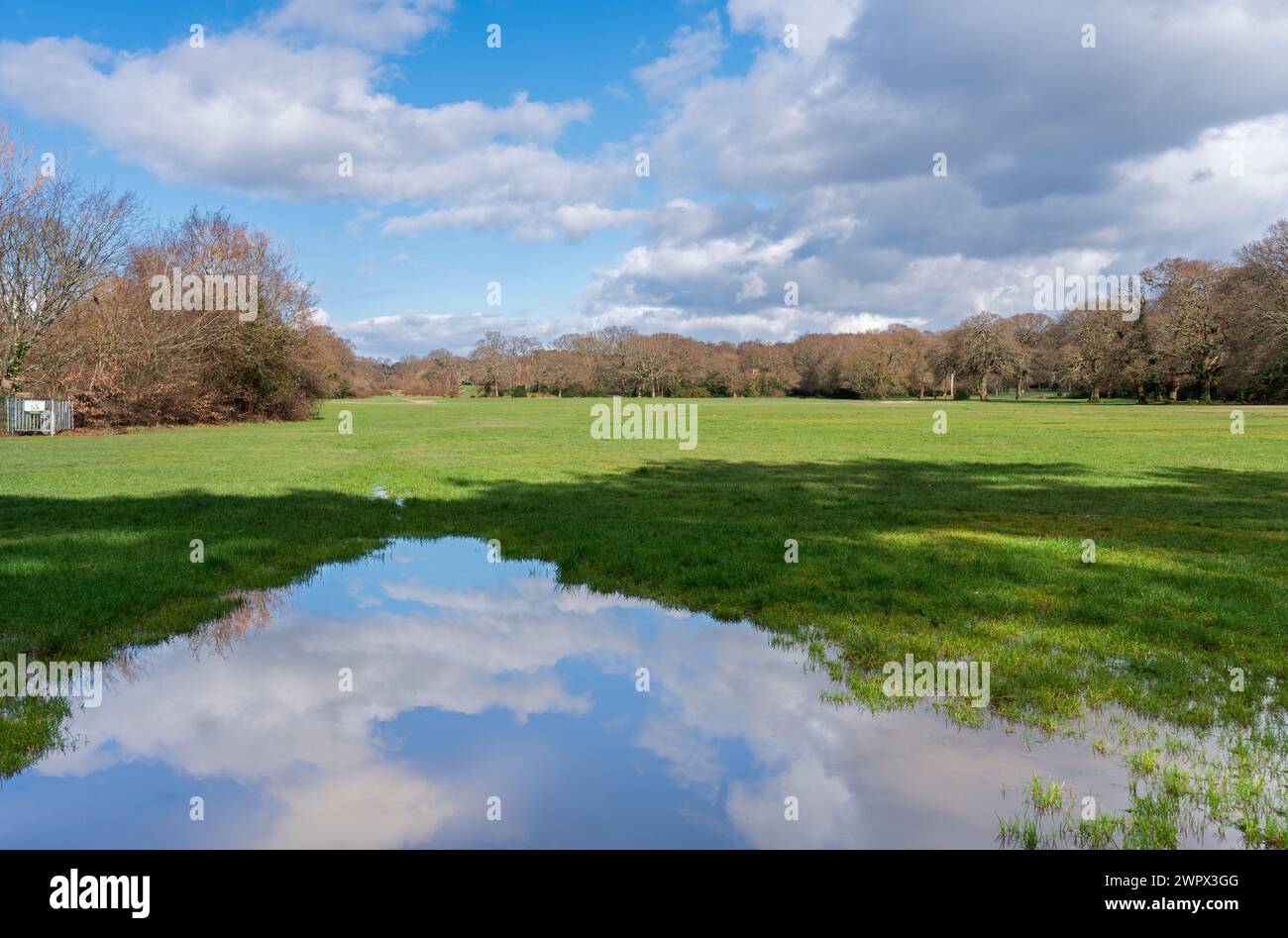 Large puddle on Southampton Common Stock Photo - Alamy