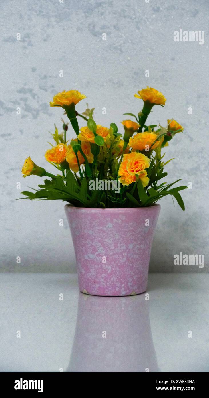 Marigolds in a pot hi-res stock photography and images - Alamy