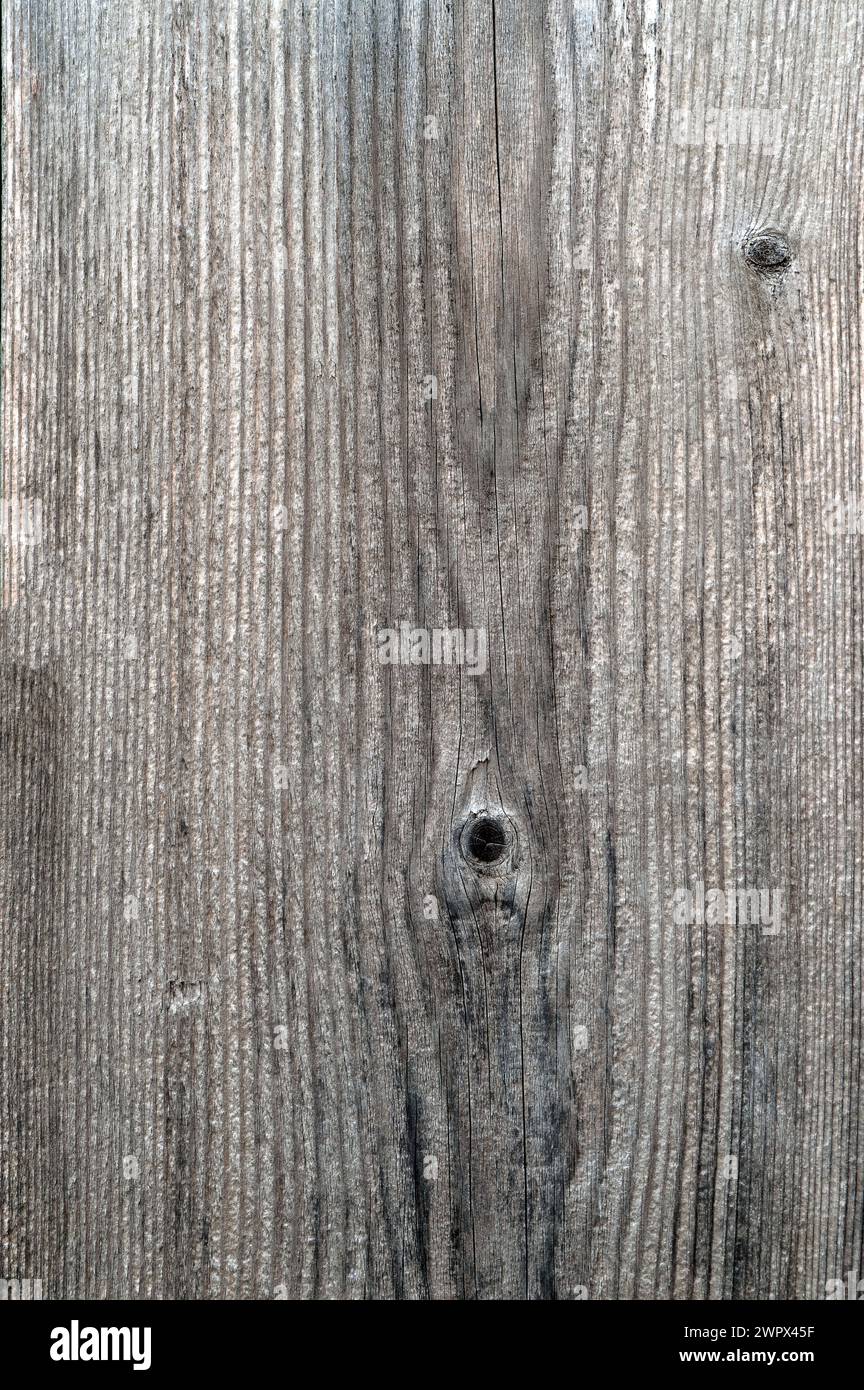 Gray wood texture. Grey wooden wall background. Rustic wood natural ...