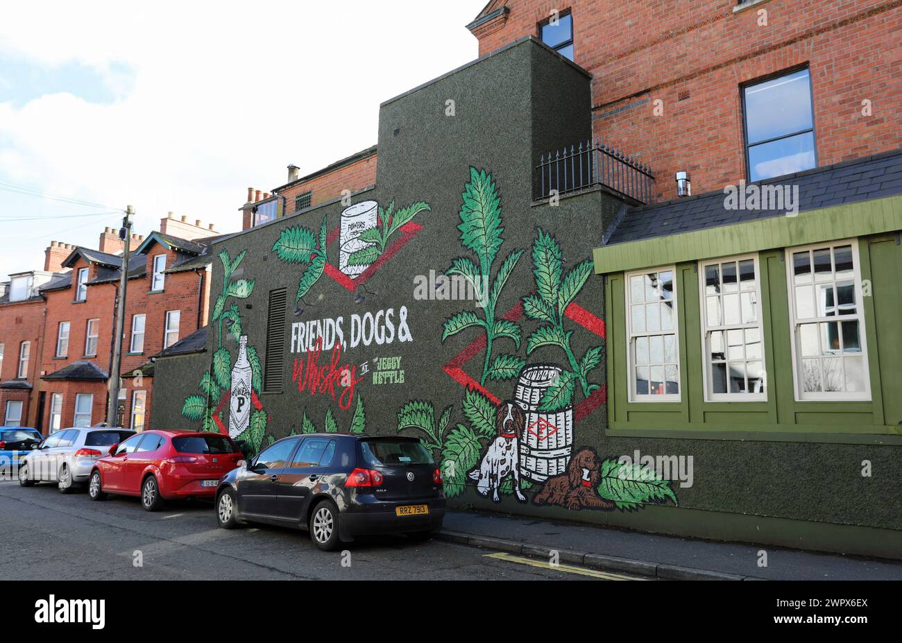 The Jeggy Nettle pub in Belfast Stock Photo - Alamy