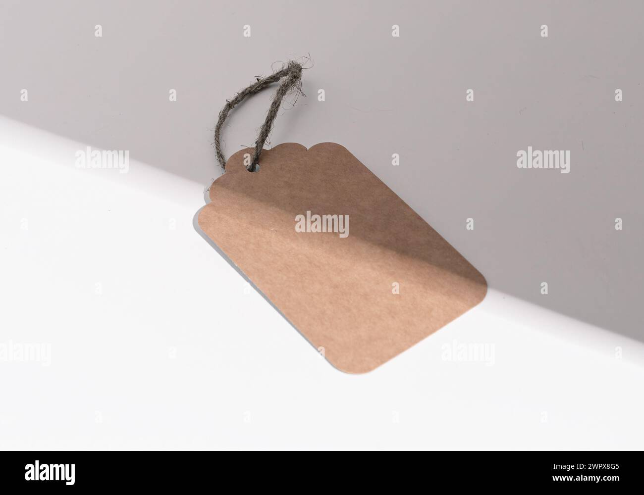 Kraft paper tag, eco carton label mockup, blank card on rope, twine ...