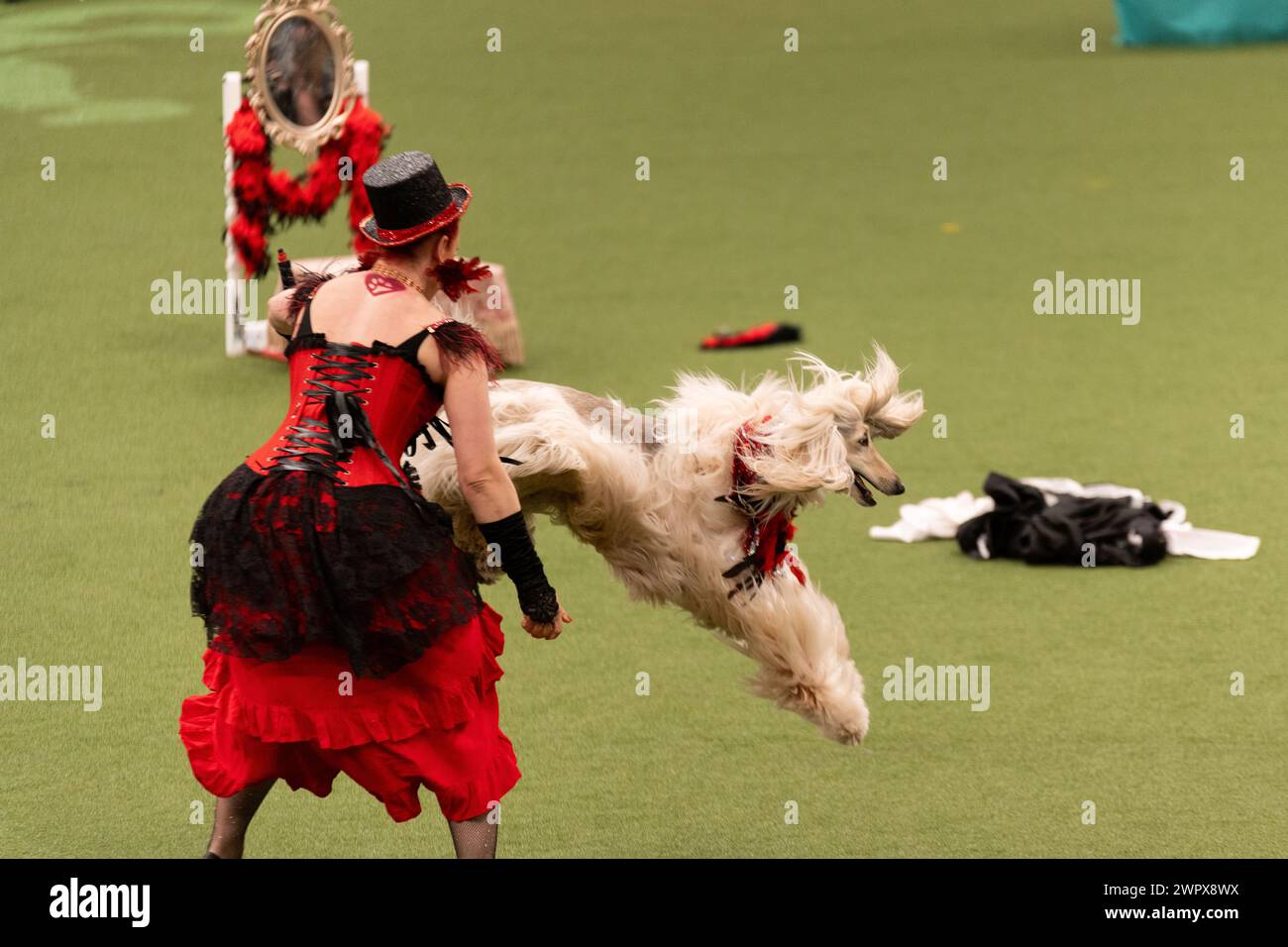 Crufts 2024 genting arena hi-res stock photography and images - Alamy