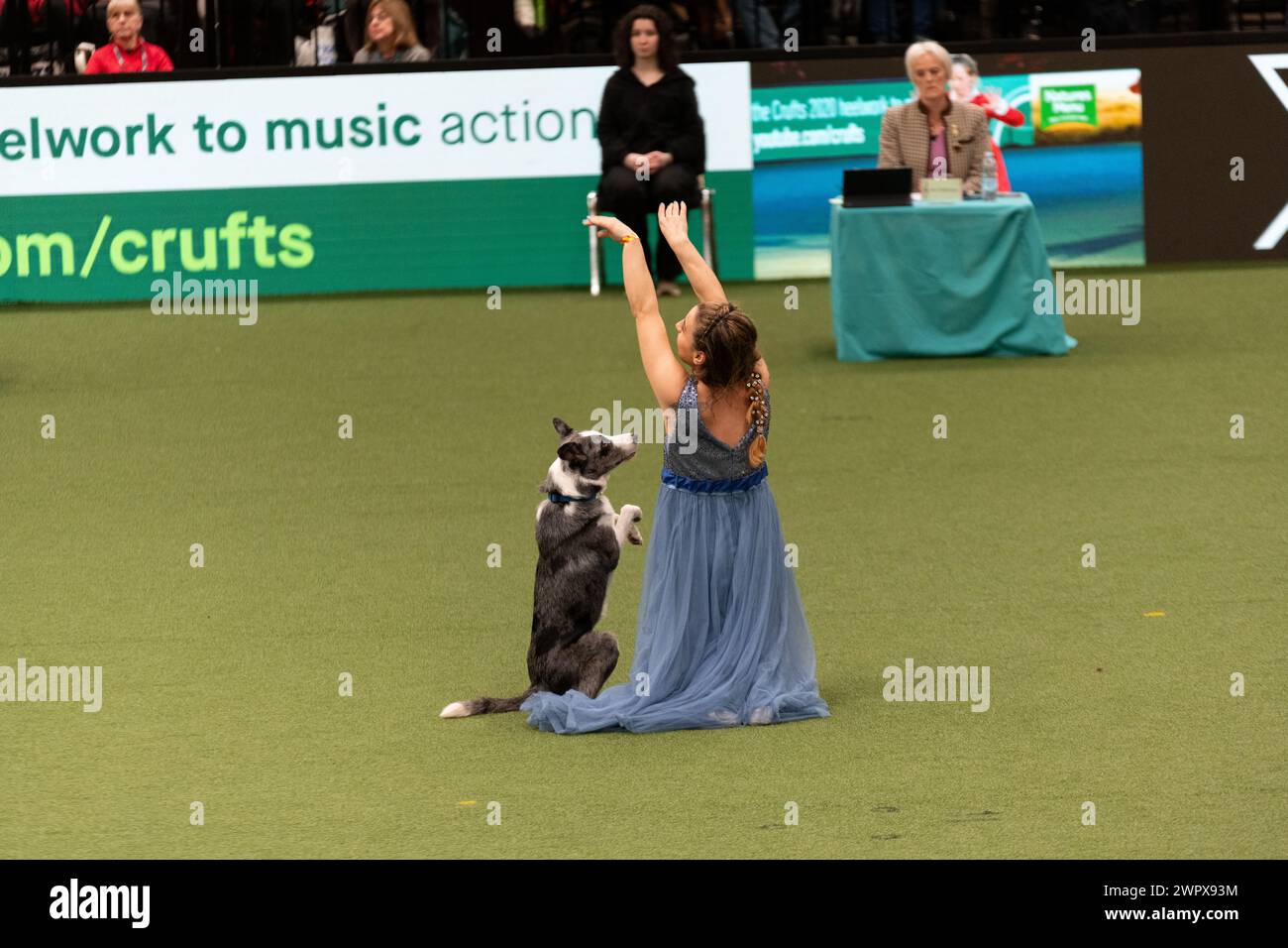 Crufts 2024 lorna and nora hi-res stock photography and images - Alamy