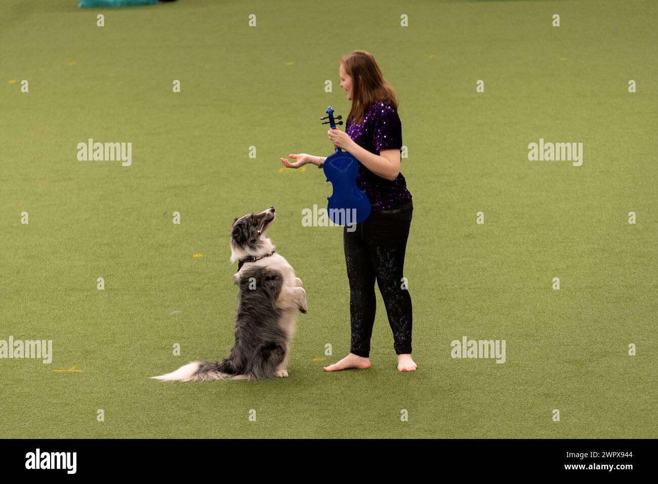 Crufts 2024 genting arena hi-res stock photography and images - Alamy