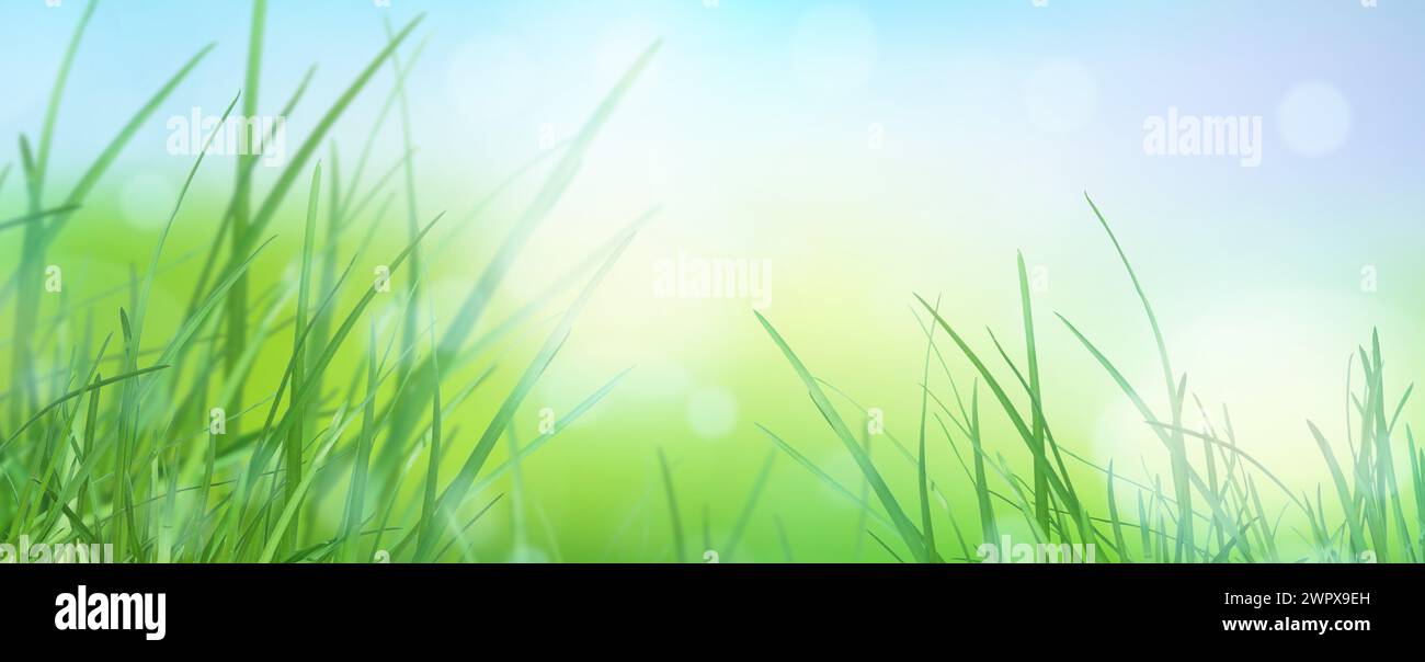 Beautiful Nature abstract Blurred Background. Beauty Green Bokeh ...