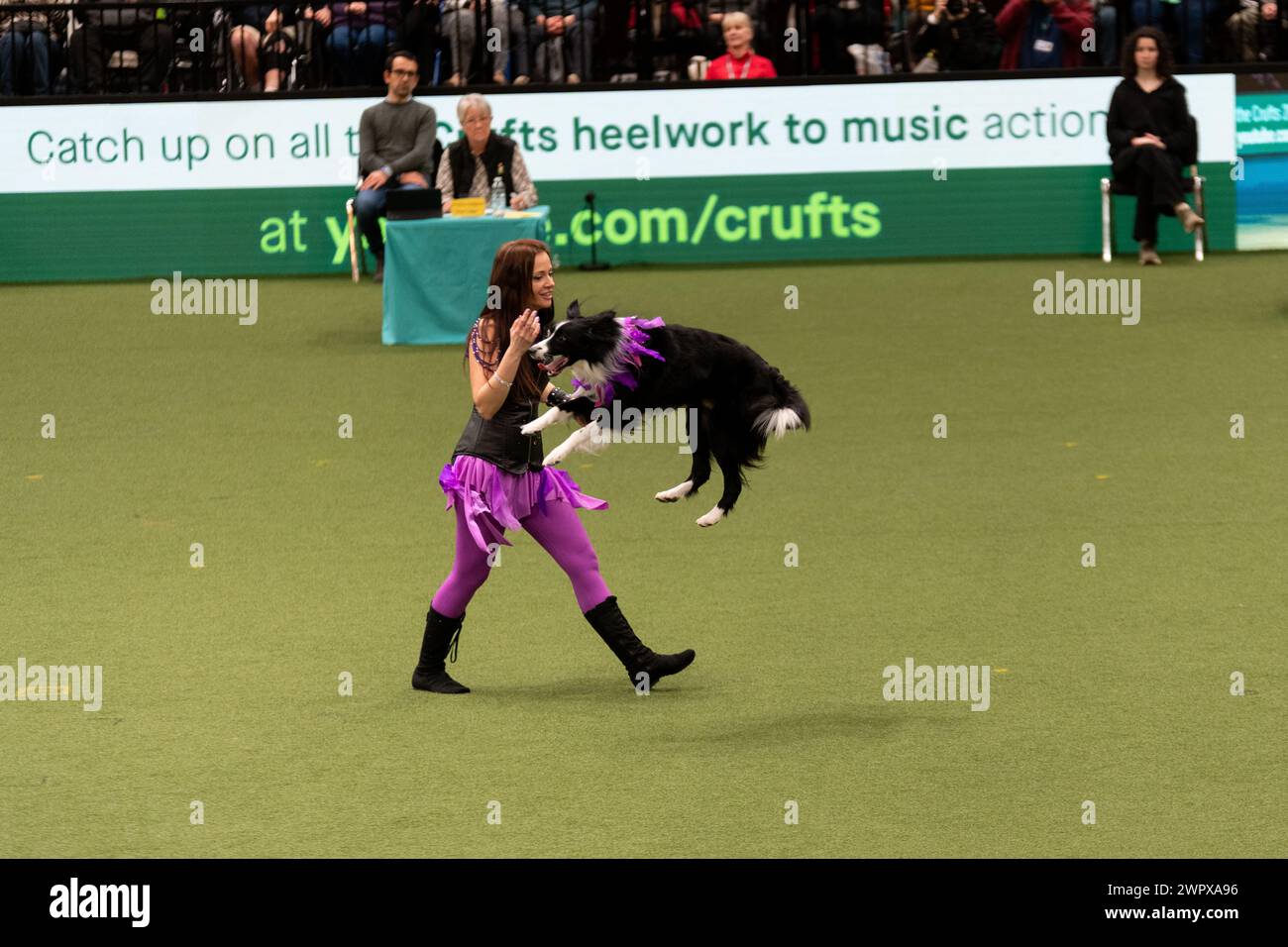 Crufts 2024 genting arena hi-res stock photography and images - Alamy