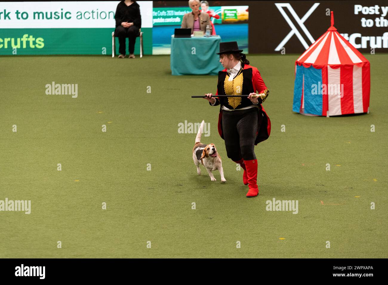 Crufts 2024 genting arena hi-res stock photography and images - Alamy